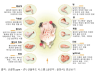 찰떡 궁합 매운 닭구이 와 양배추 네이버 블로그